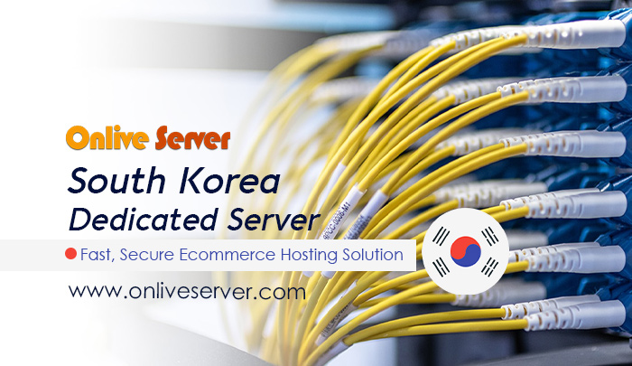 South Korea Dedicated Server: The Ideal Choice for Your Business with ...